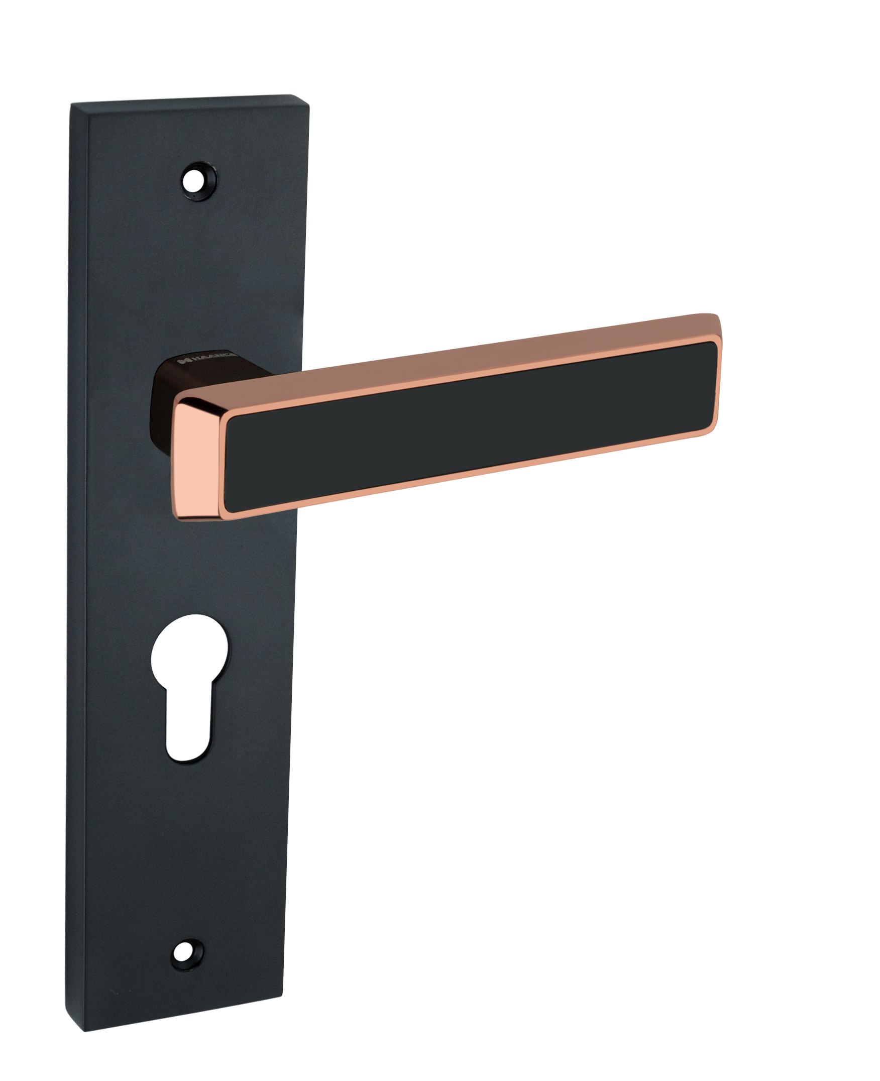 Harrison Locks - Products