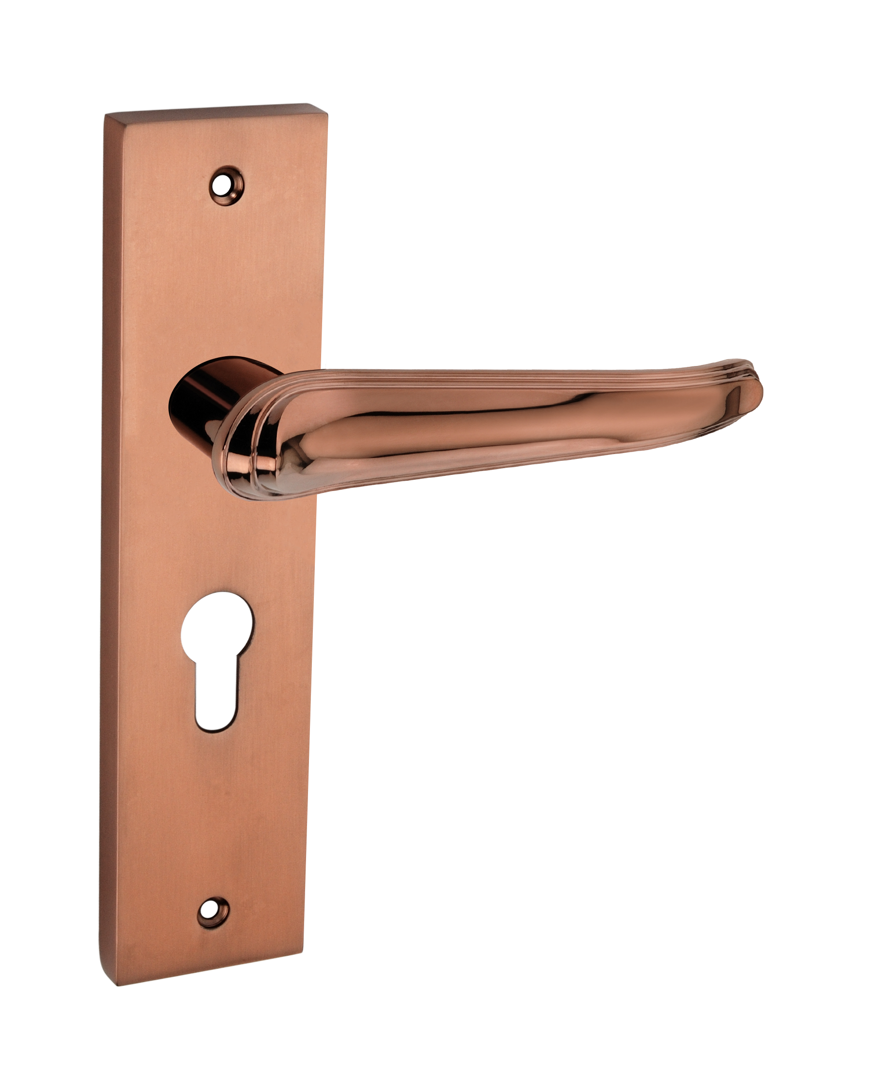 Harrison Locks - Products