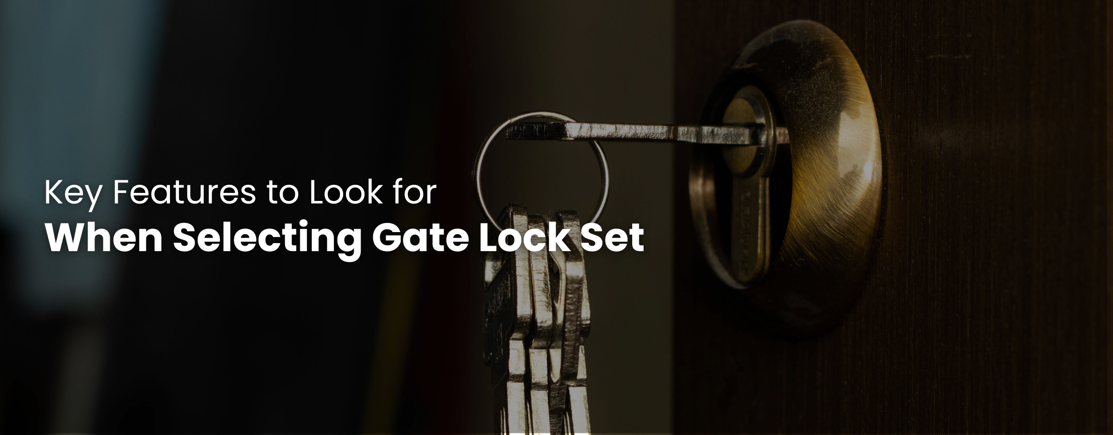 Harrison Locks - The Ultimate Guide to Choosing the Perfect Hinges for ...